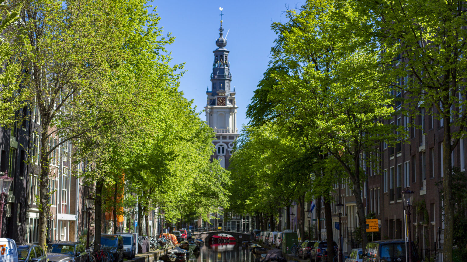 Free virtual backgrounds - Rowin Dreef